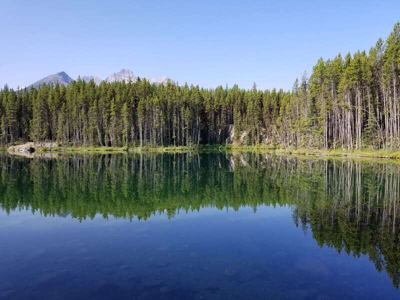 Calgary/Banff: Private Columbia Icefield Glacier Day Tour - Who will love this tour?