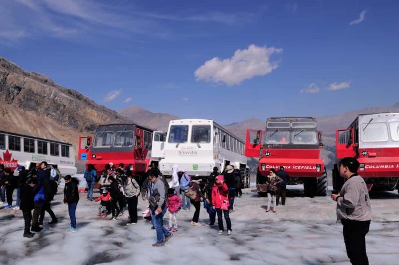 Calgary/Canmore/Banff: Columbia Icefield Glacier Day Tour - Key Points