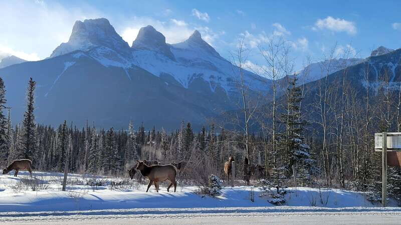 Calgary: Canmore, Banff, Lake Louise - Gondola Included - The Sum Up