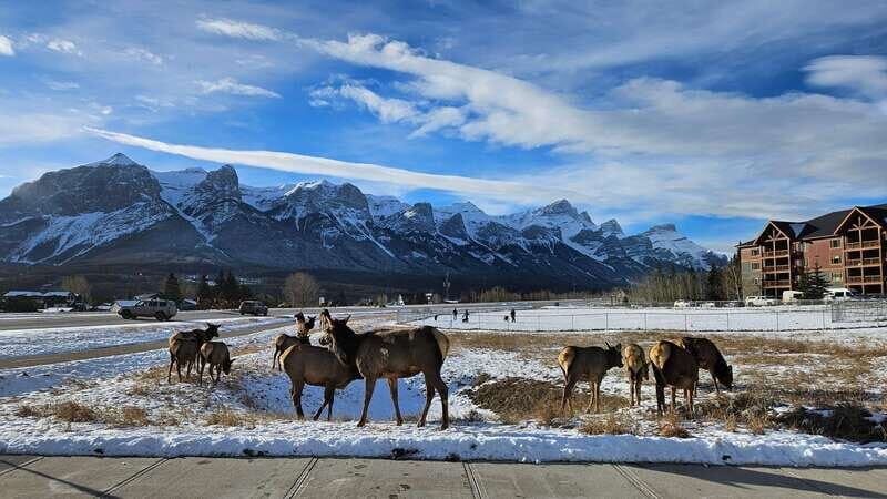 Calgary: Canmore, Banff, Lake Louise - Gondola Included - FAQ