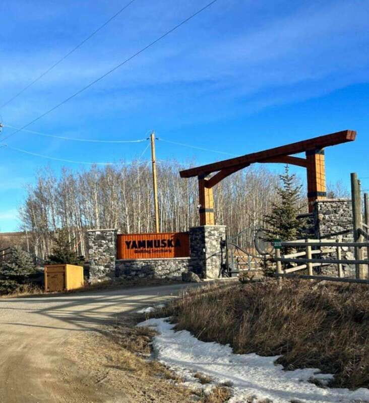 Calgary City Tour & Yamnuska Wolfdog Sanctuary Private Tour - What You Should Expect From the Experience