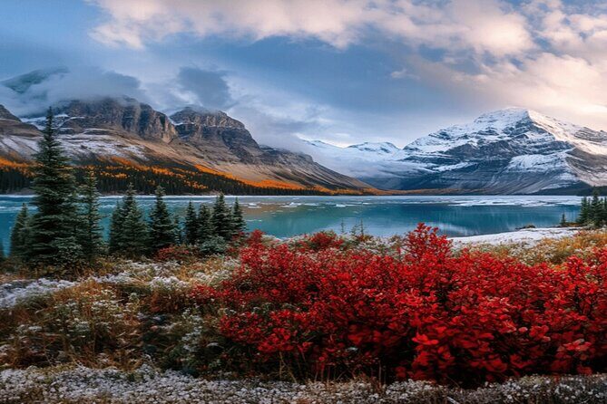 Calgary: Columbia Icefield Adventure, Skywalk and Peyto Lake Tour - What You’ll Get for Your Money