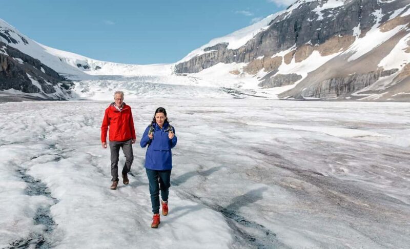 Calgary: Columbia Icefield & Bow Lake & Peyto Lake - The Transport and Group Size