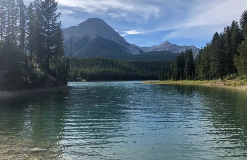 Calgary: Crowsnest Pass Tea & Tapas Experience - The Sum Up