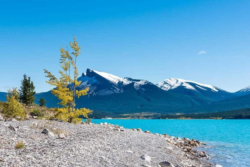 Calgary: Day Trip to Jasper with Lunch - Key Points