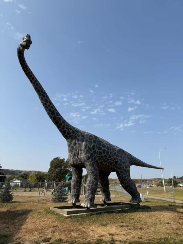Calgary: Drumheller and Badlands Tour with Museum Entry - An Engaging Introduction to Alberta’s Badlands