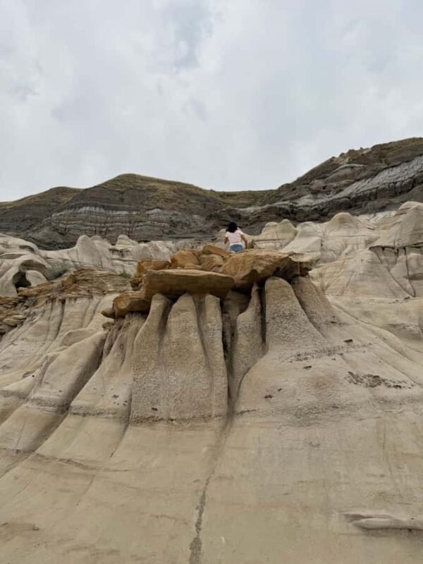 Calgary: Drumheller and Badlands Tour with Museum Entry - Transportation and Group Size