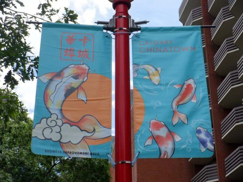 Calgary: Guided Couple City Tour with Stops for Photos - Key Points