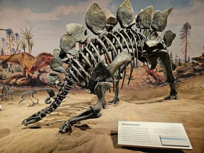 Calgary: Guided Drumheller Small Group Tour Museum, Hoodoos - An Honest Look: What to Expect on the Tour