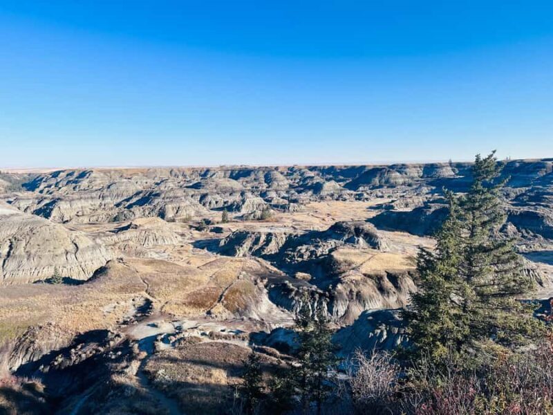 Calgary: Guided Drumheller Small Group Tour Museum, Hoodoos - Who Will Love This Tour?