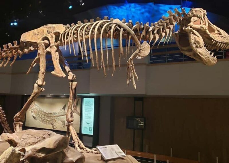 Calgary: Guided Drumheller Small Group Tour Museum, Hoodoos - Final Thoughts