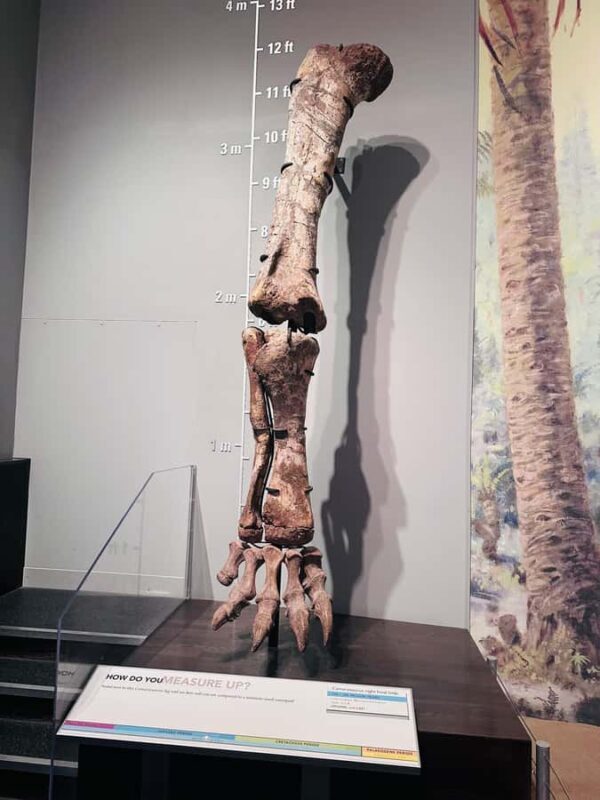 Calgary: Guided Drumheller Small Group Tour Museum, Hoodoos - FAQ