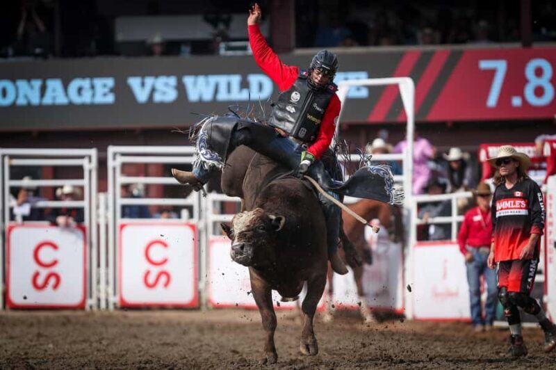 Calgary Stampede Afternoon Rodeo - Final Thoughts: Is the Calgary Stampede Afternoon Rodeo Worth It?