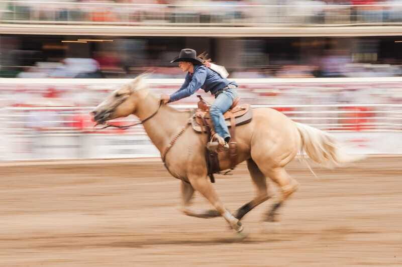 Calgary Stampede Afternoon Rodeo - FAQs