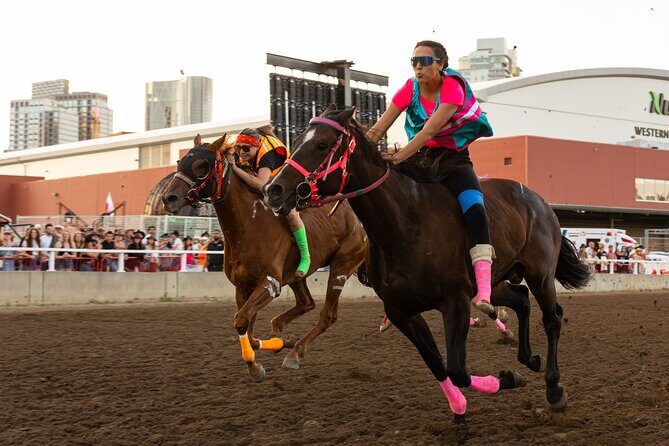 Calgary Stampede Evening Show - An In-Depth Look at the Calgary Stampede Evening Show