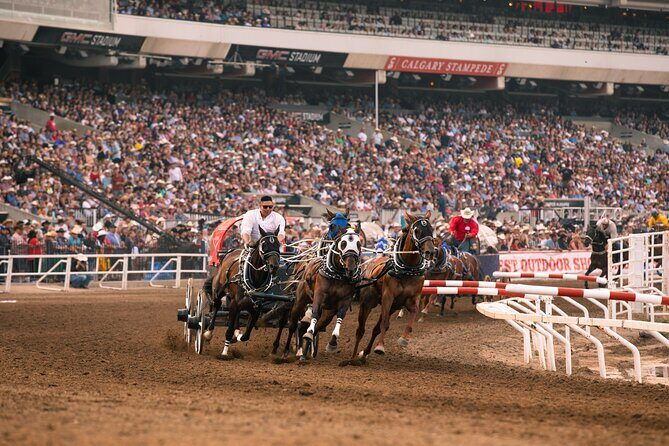 Calgary Stampede Evening Show - The Sum Up: Who Will Love the Calgary Stampede Evening Show?