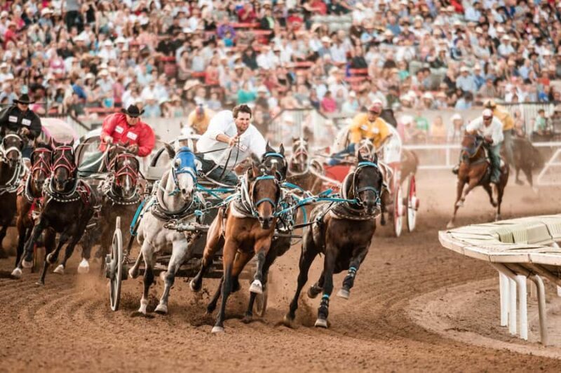 Calgary Stampede: Two Day Thrill Package - An In-Depth Look at the Calgary Stampede Two Day Thrill Package