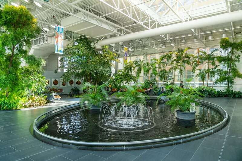 Calgary: Tips-Based City Highlights Walking Tour | 3-Hour - An Introduction to Calgary’s Charms