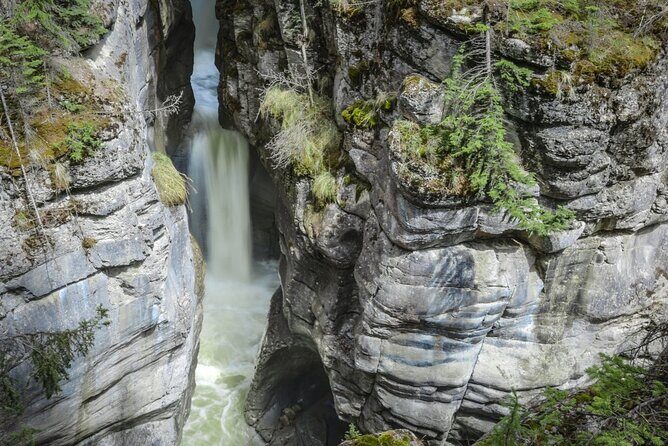 Calgary to Banff & Jasper 3-Day Tour - An In-Depth Look at the Itinerary