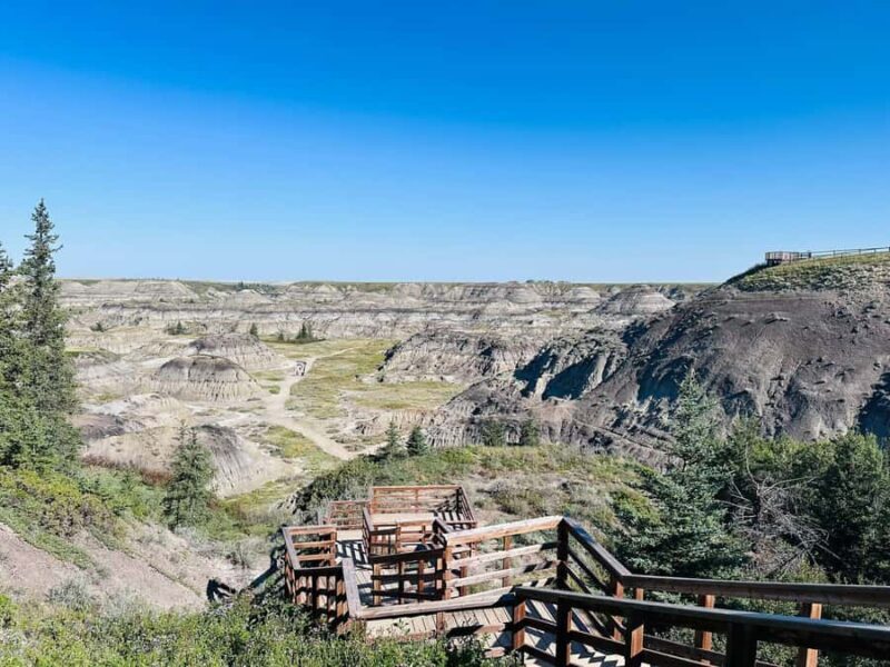 Calgary: To Drumheller (tiny town of huge monsters) Day Tour - Pricing and Value