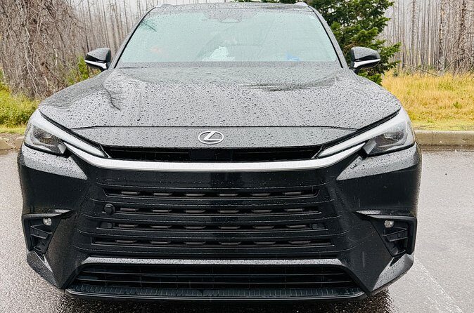 Calgary to Medicine Hat Private Luxury Lexus Tx Transfer - FAQ