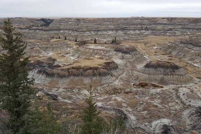Calgary to Royal Museum | Drumheller  PRIVATE TOUR - Value and Cost Considerations