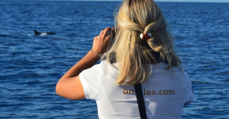 Calheta: Whale & dolphin watching small groups designer tour - Practical Tips for Booking & Planning