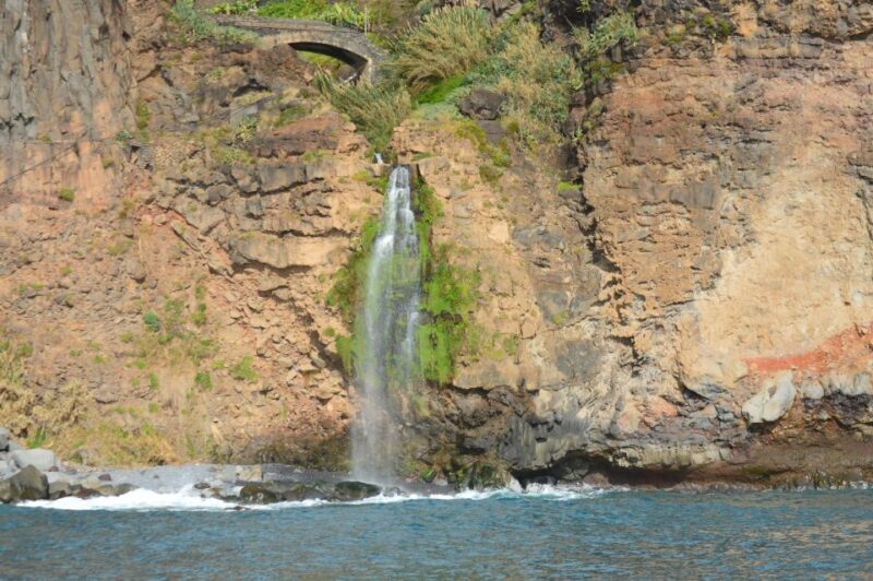 Calheta: Whale & dolphin watching small groups designer tour - Final Thoughts: Who Should Consider This Tour?