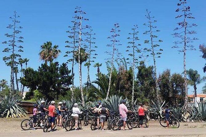 Cali Dreaming Electric Bike Tour of La Jolla and Pacific Beach - Why You Should Consider This Tour