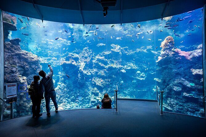 California Academy of Sciences General Admission Ticket - Practical Details and Tips