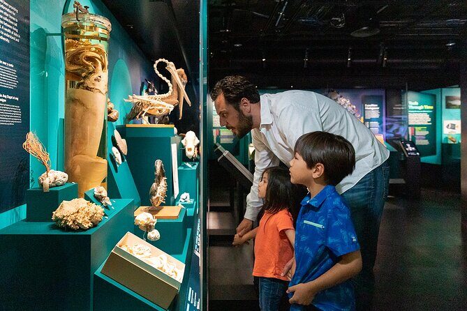 California Academy of Sciences General Admission Ticket - FAQ