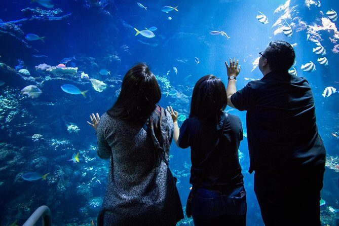 California Academy of Sciences NightLife Admission Ticket - The Sum Up: Is NightLife for You?