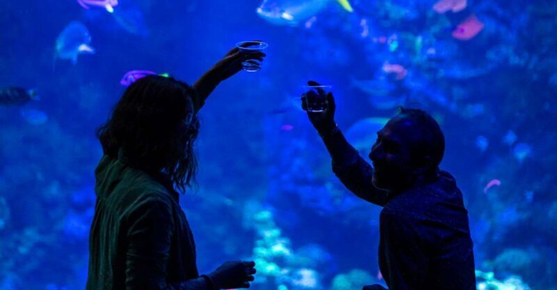 California Academy of Sciences NightLife Plus Admission - Who Will Love NightLife Plus?