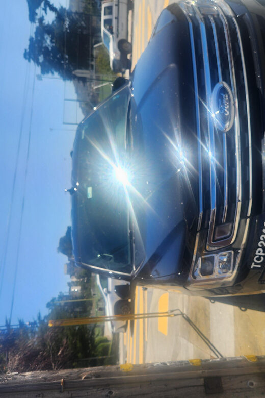 California: SFE Airport Transfer to San Francisco - Practicalities and pricing