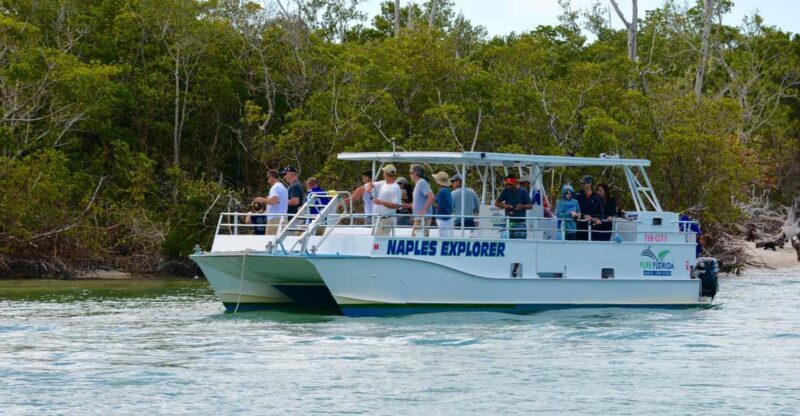 Calm Bay/Coastal Fishing - Key Points