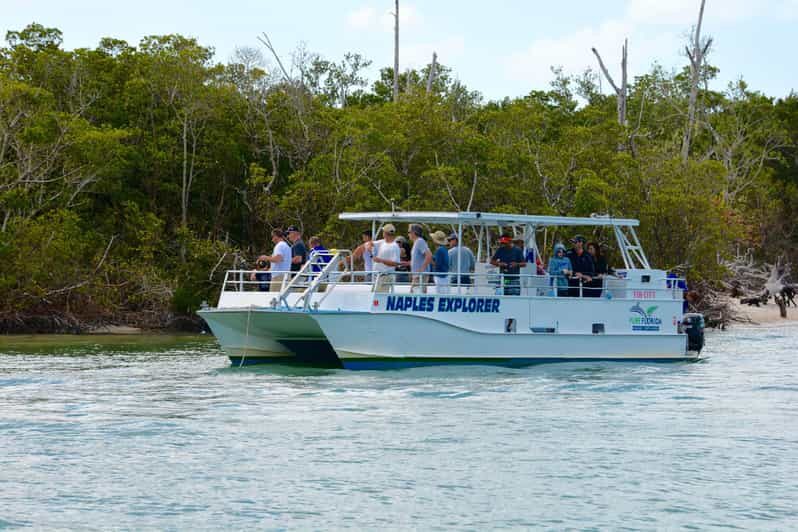 Calm Bay/Coastal Fishing - A Peaceful Introduction to Florida’s Fishing Waters