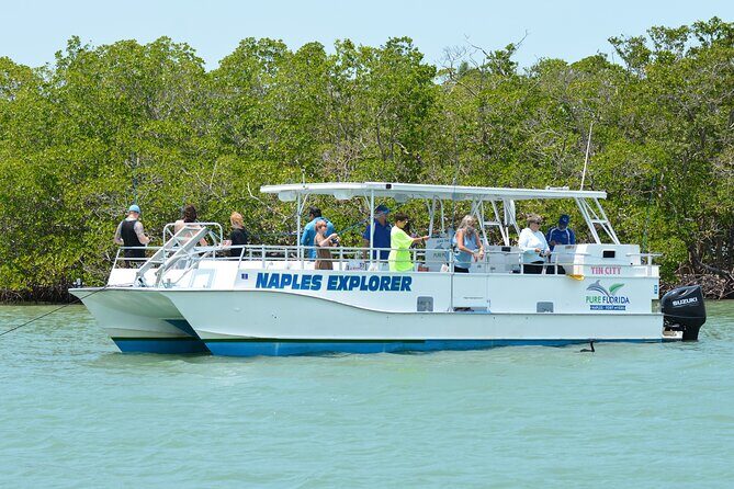 Calm Bay Fishing - What to Expect from the Calm Bay Fishing Experience
