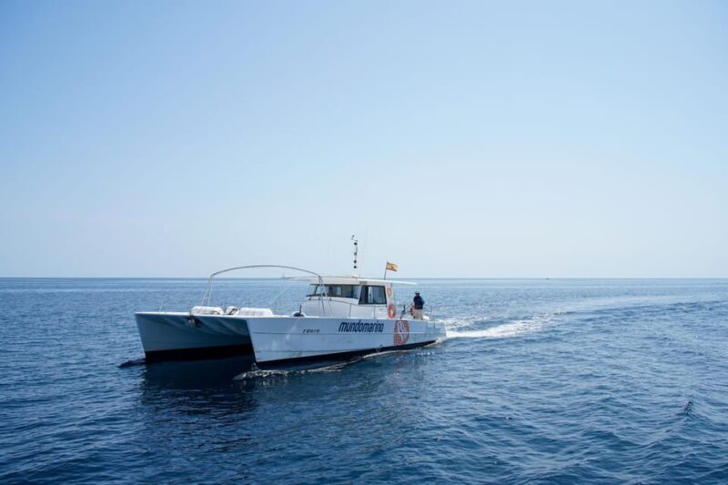 Calpe: Sunset Cruise with Sparkling Wine - Final Thoughts