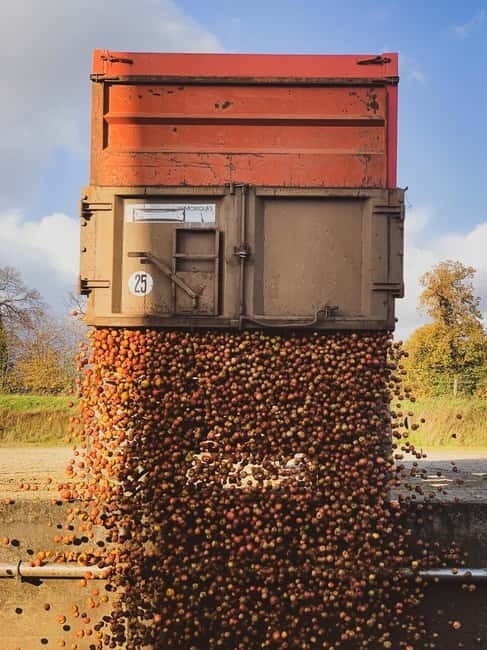 Calvados: the art of making Coquerel Calvados and Normindia Gin - Practical Details and Value