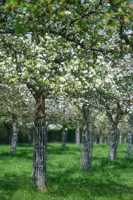 Calvados: the art of making Coquerel Calvados and Normindia Gin - Final Thoughts: Who Should Consider This Tour?