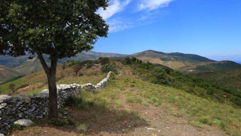 Calvi: Asco Valley 4x4 Day Tour with Guide - A Deep Dive Into the Experience