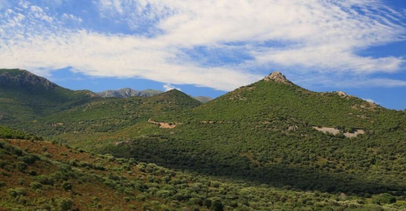 Calvi: Asco Valley 4x4 Day Tour with Guide - Final Words: Who Is This Tour For?
