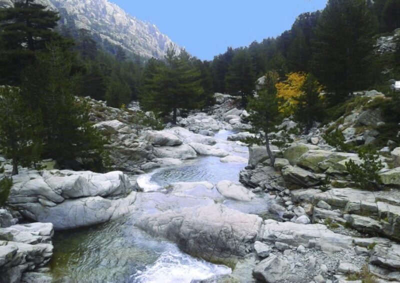 Calvi: Asco Valley 4x4 Day Tour with Guide - FAQ