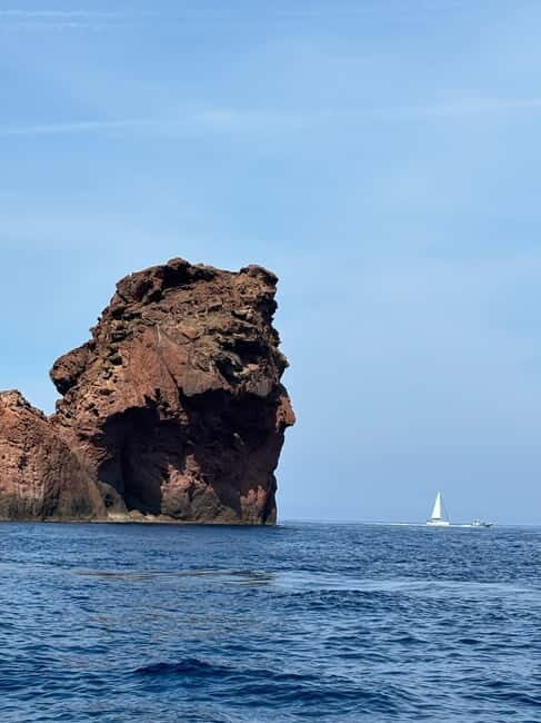 Calvi: guided tour by speedboat to Scandola - An In-Depth Look at the Guided Speedboat Tour from Calvi to Scandola