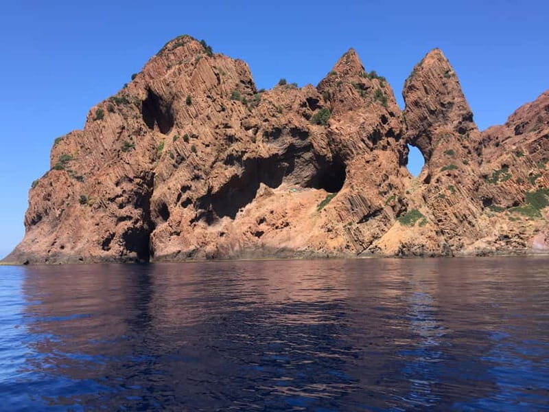Calvi: guided tour by speedboat to Scandola - FAQs