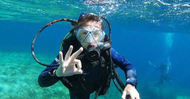 Calvi: Introduction to Diving Dive with an Instructor - The Value of the Experience