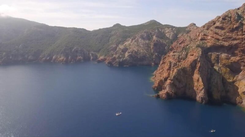 Calvi : Private boat tour of Scandola nature reserve - Who This Tour Is Perfect For