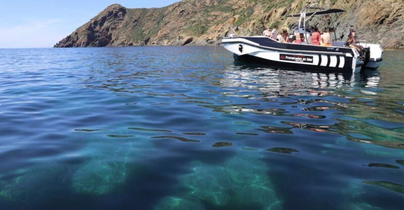 Calvi: Scandola and Piana Guided Boat Tour - Is This Tour Worth the Price?