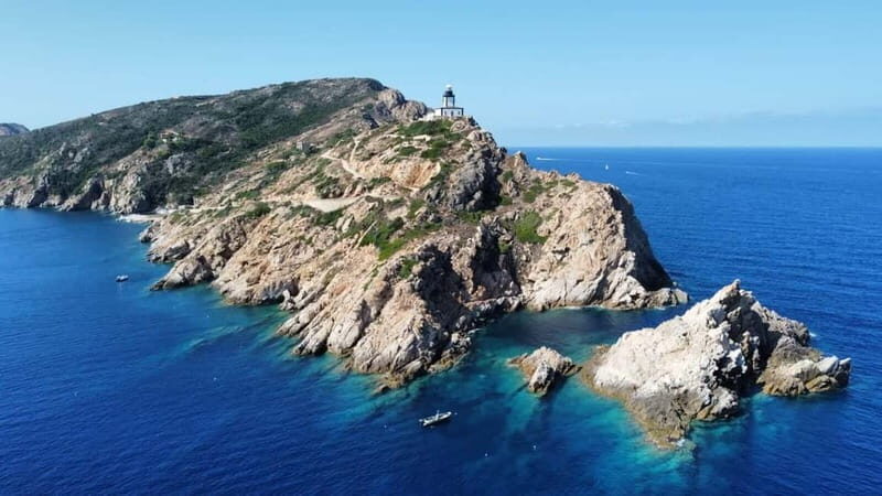 Calvi : Snorkeling Adventure by the Natural Reserve - Key Points