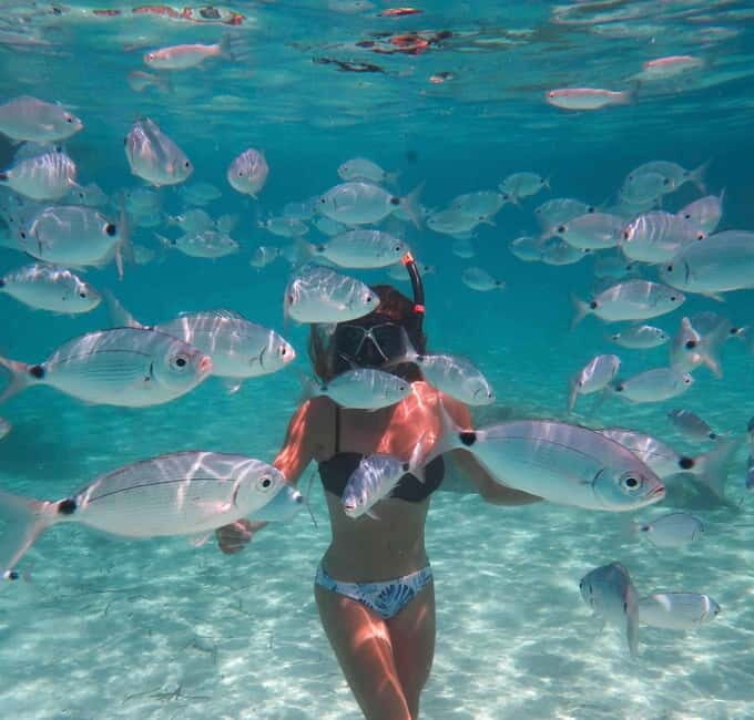 Calvi : Snorkeling Adventure by the Natural Reserve - Value and Who Will Love This Tour